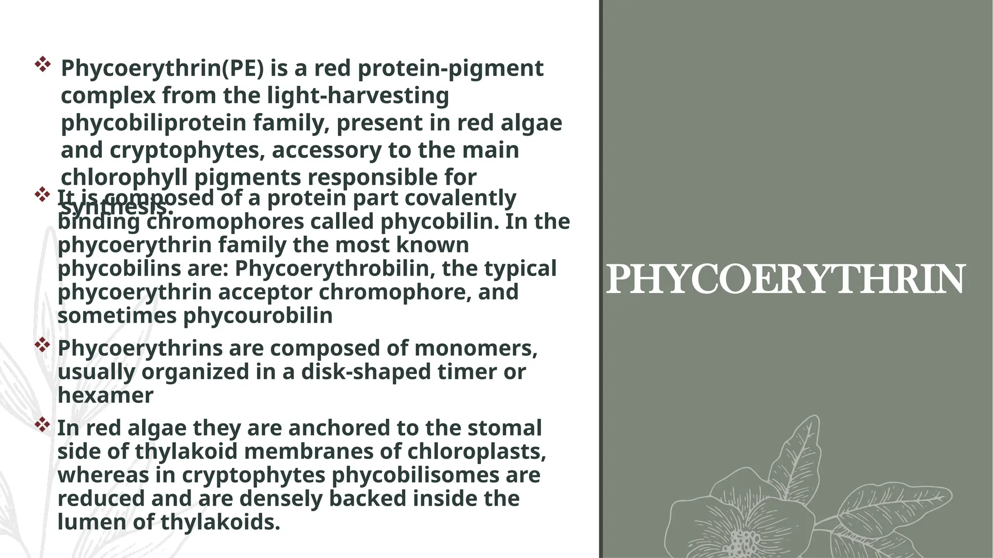 Micro algae pigments and its types. pptx | PPTX
