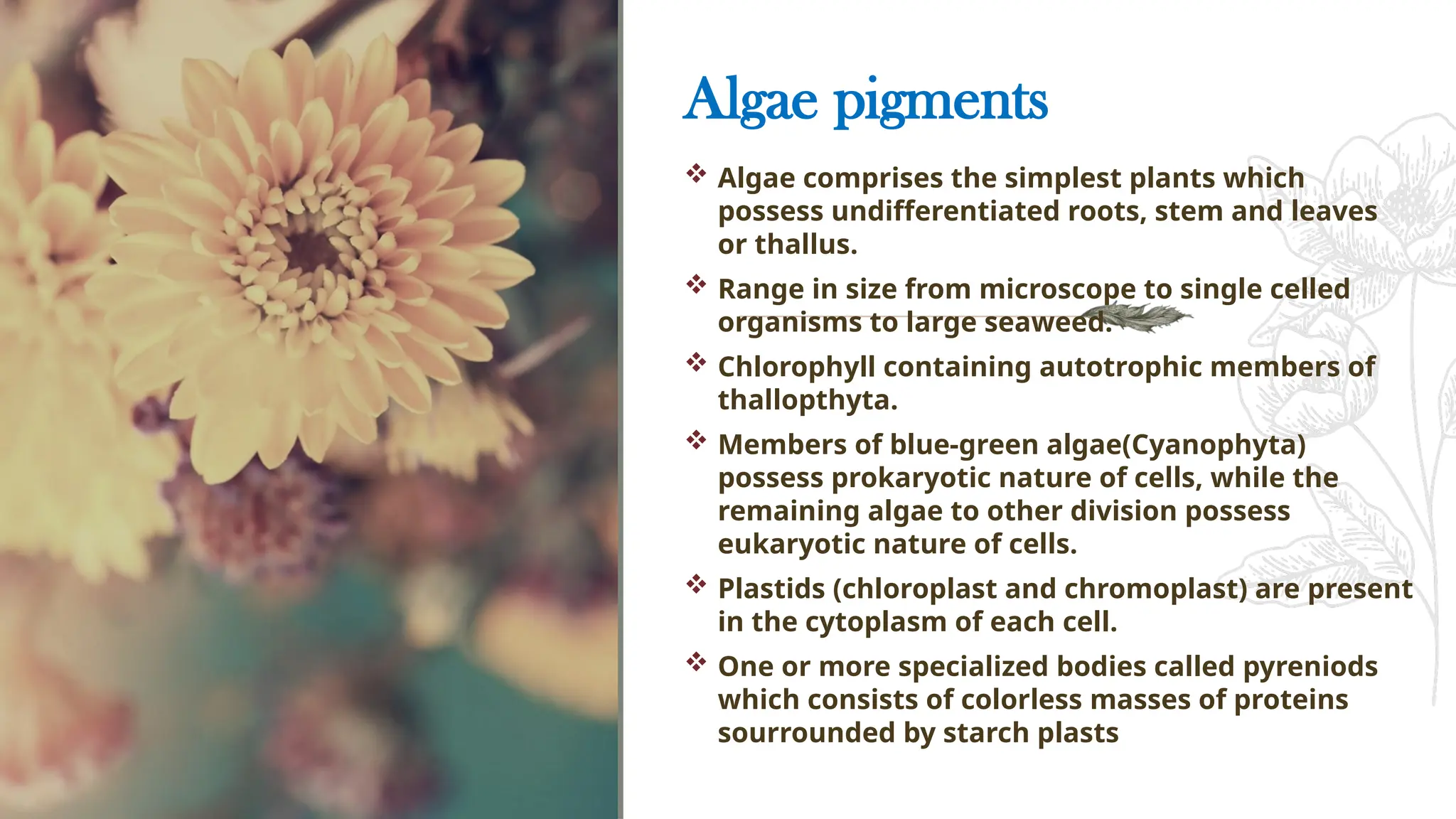 Micro algae pigments and its types. pptx | PPTX