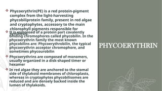 Micro algae pigments and its types. pptx | PPTX