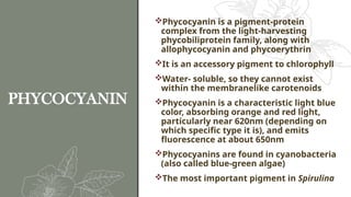 Micro algae pigments and its types. pptx | PPTX