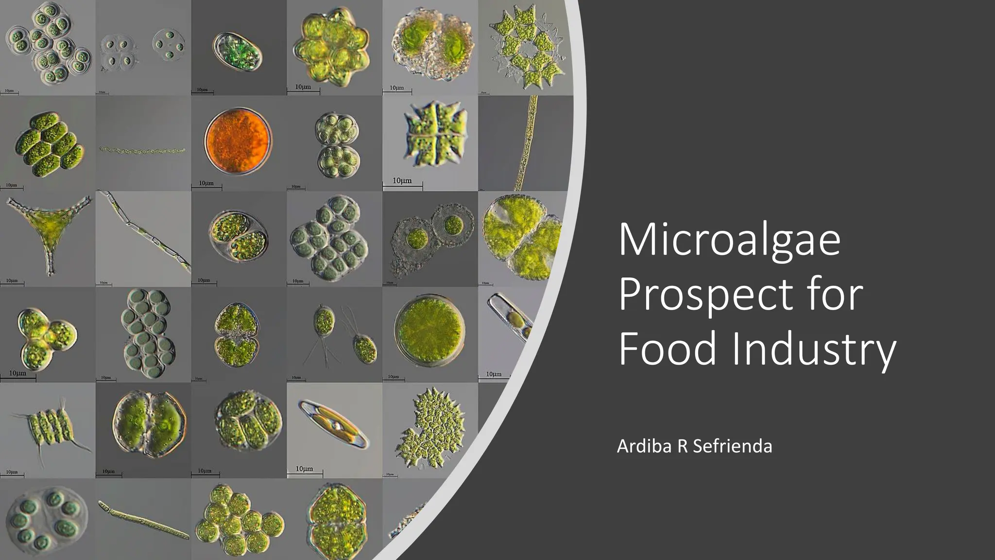 microalga for food industry: Prospect and challanges | PDF