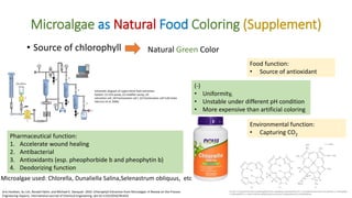 microalga for food industry: Prospect and challanges | PDF | Vegetarian Diets | Food & Drink