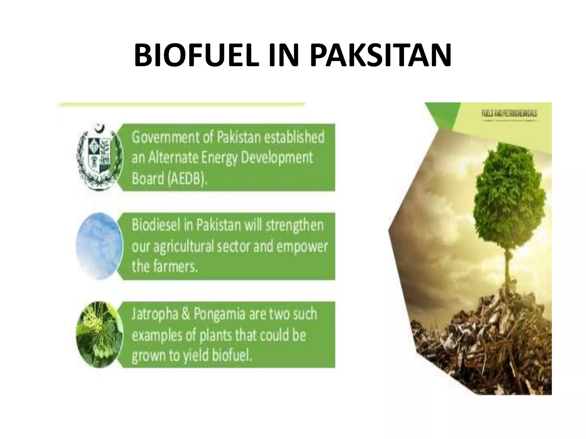 Microalgal applications for biofuel production | PPTX