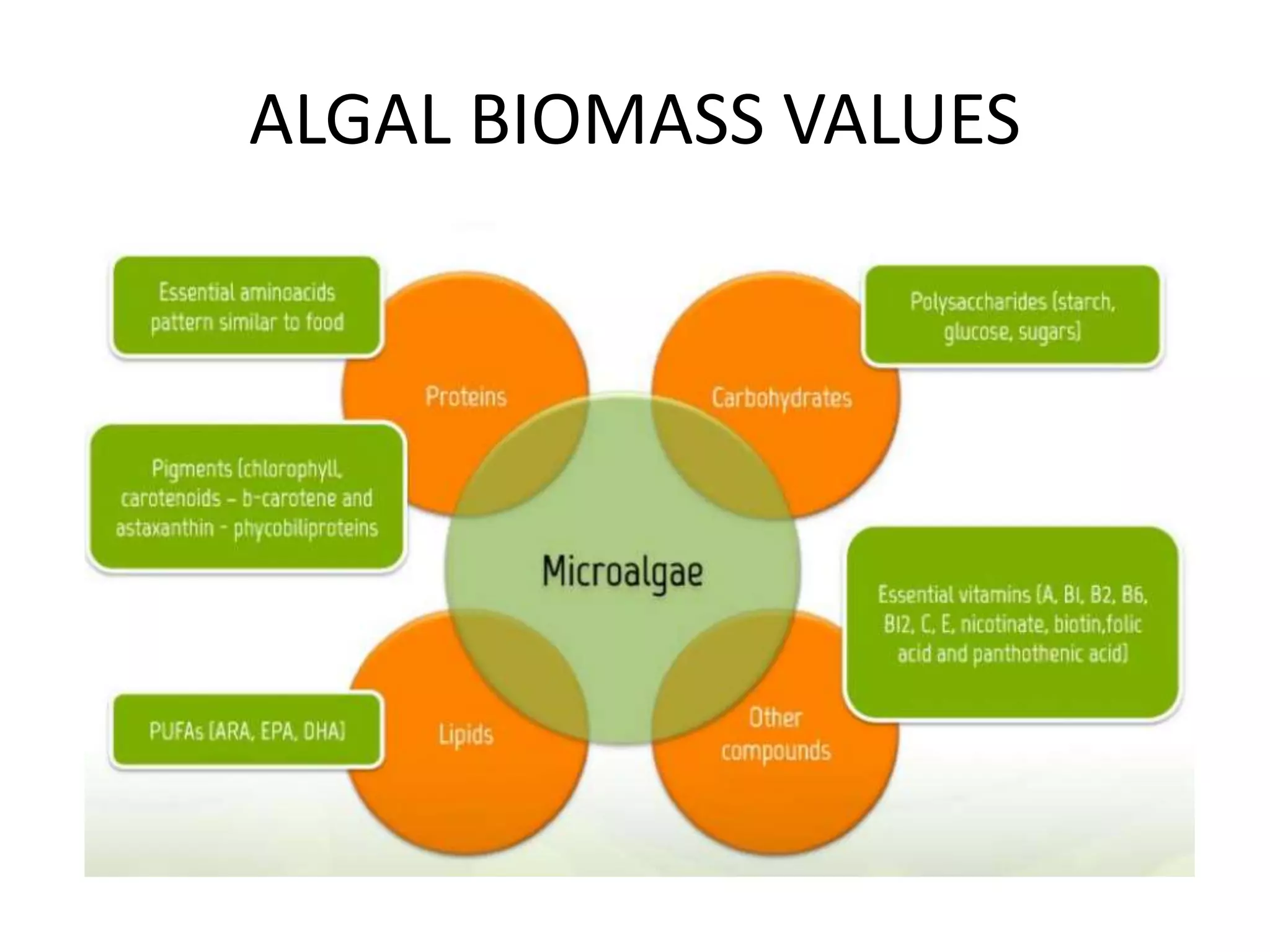 Microalgal applications for biofuel production | PPTX