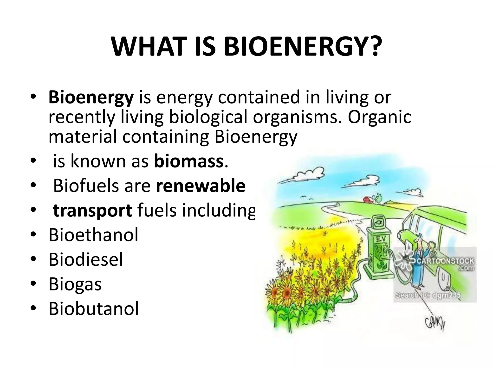Microalgal applications for biofuel production | PPTX