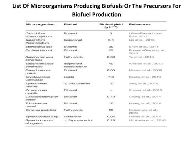 Microalgal applications for biofuel production | PPTX