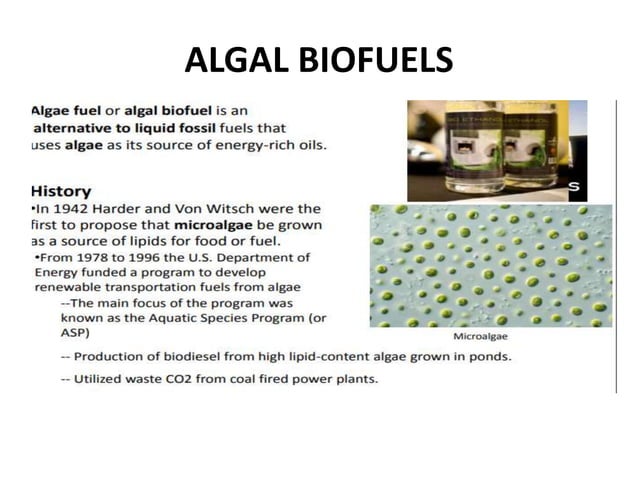 Microalgal applications for biofuel production | PPTX