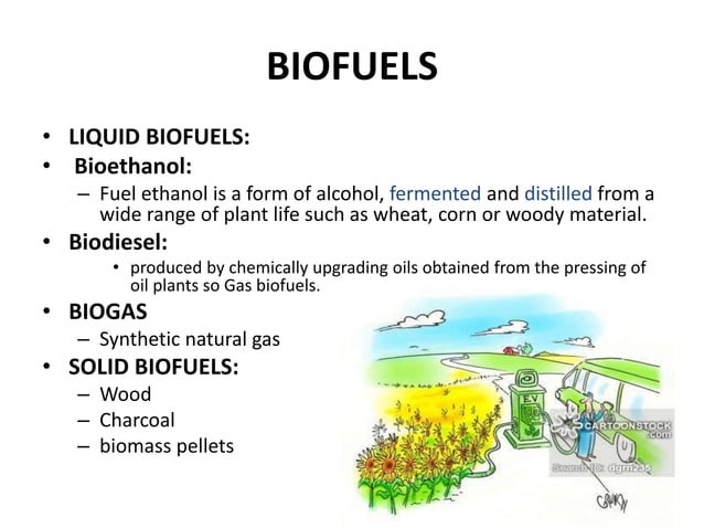 Microalgal applications for biofuel production | PPTX