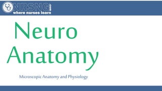 Micro Anatomy of the Neurological System | PPTX