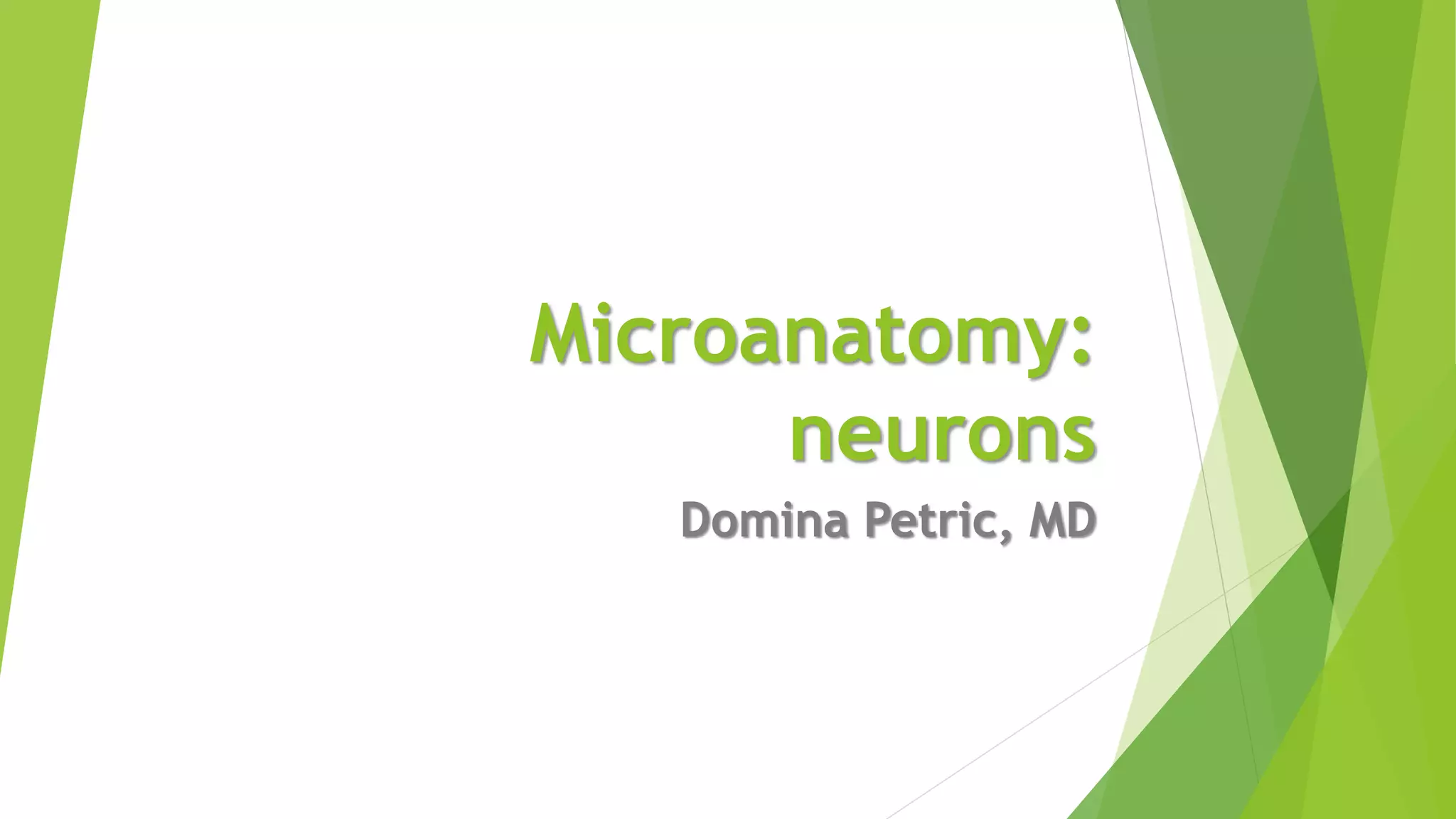 Microanatomy and neurons | PPSX