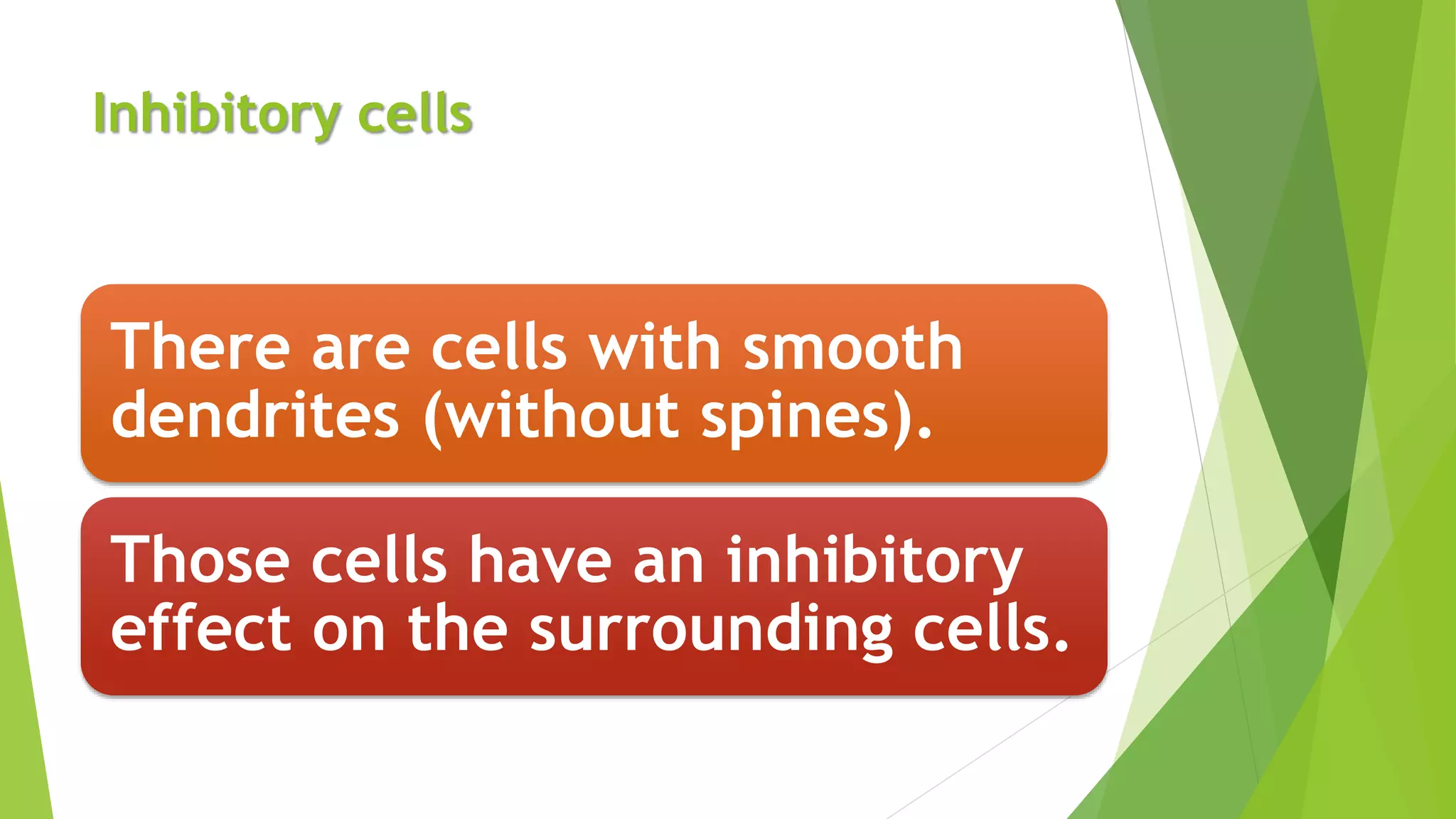 Microanatomy and neurons | PPSX