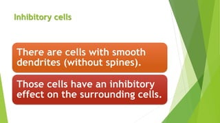 Microanatomy and neurons | PPSX