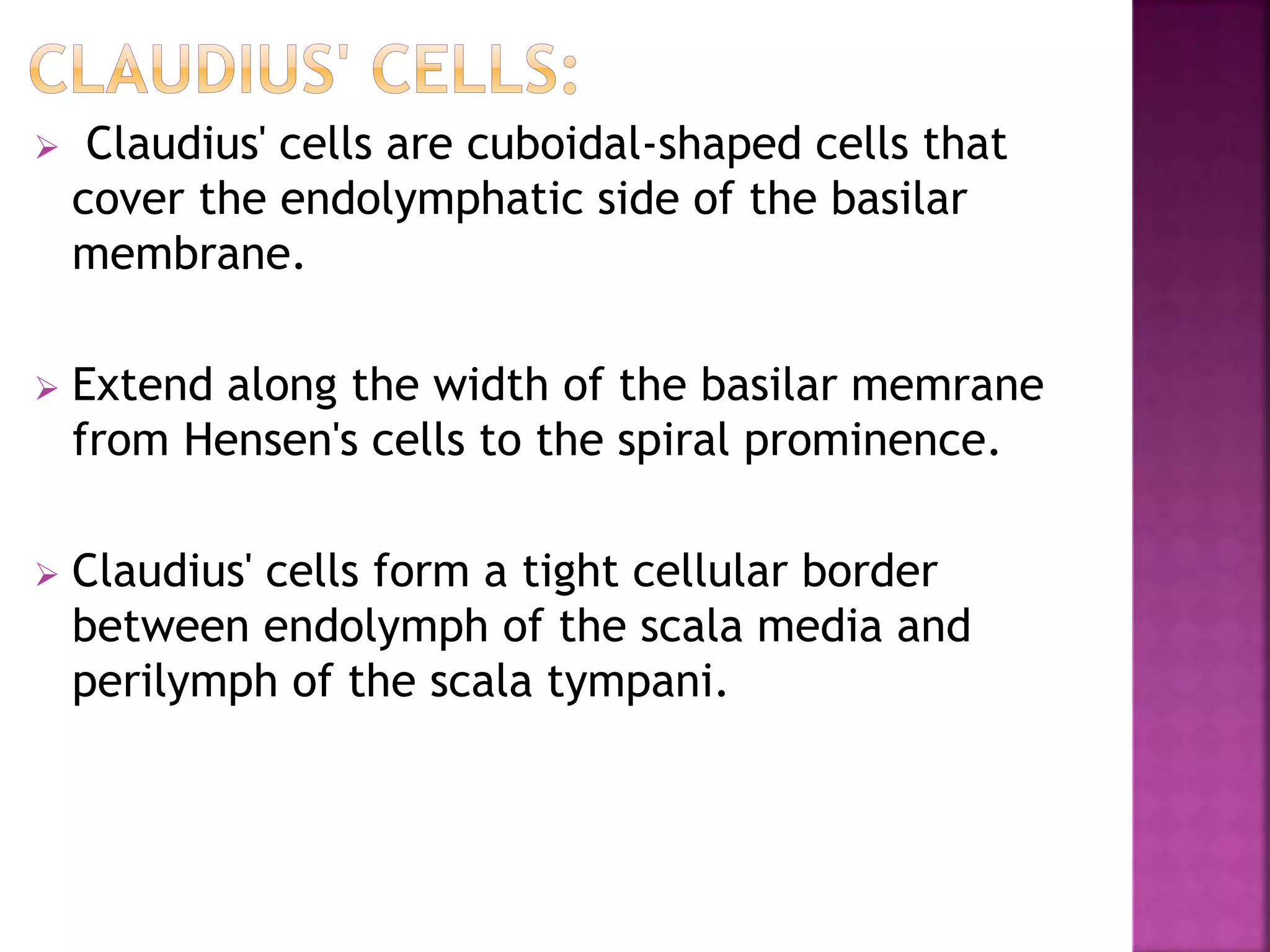 Micro anatomy of cochlea humans and animals | PPTX