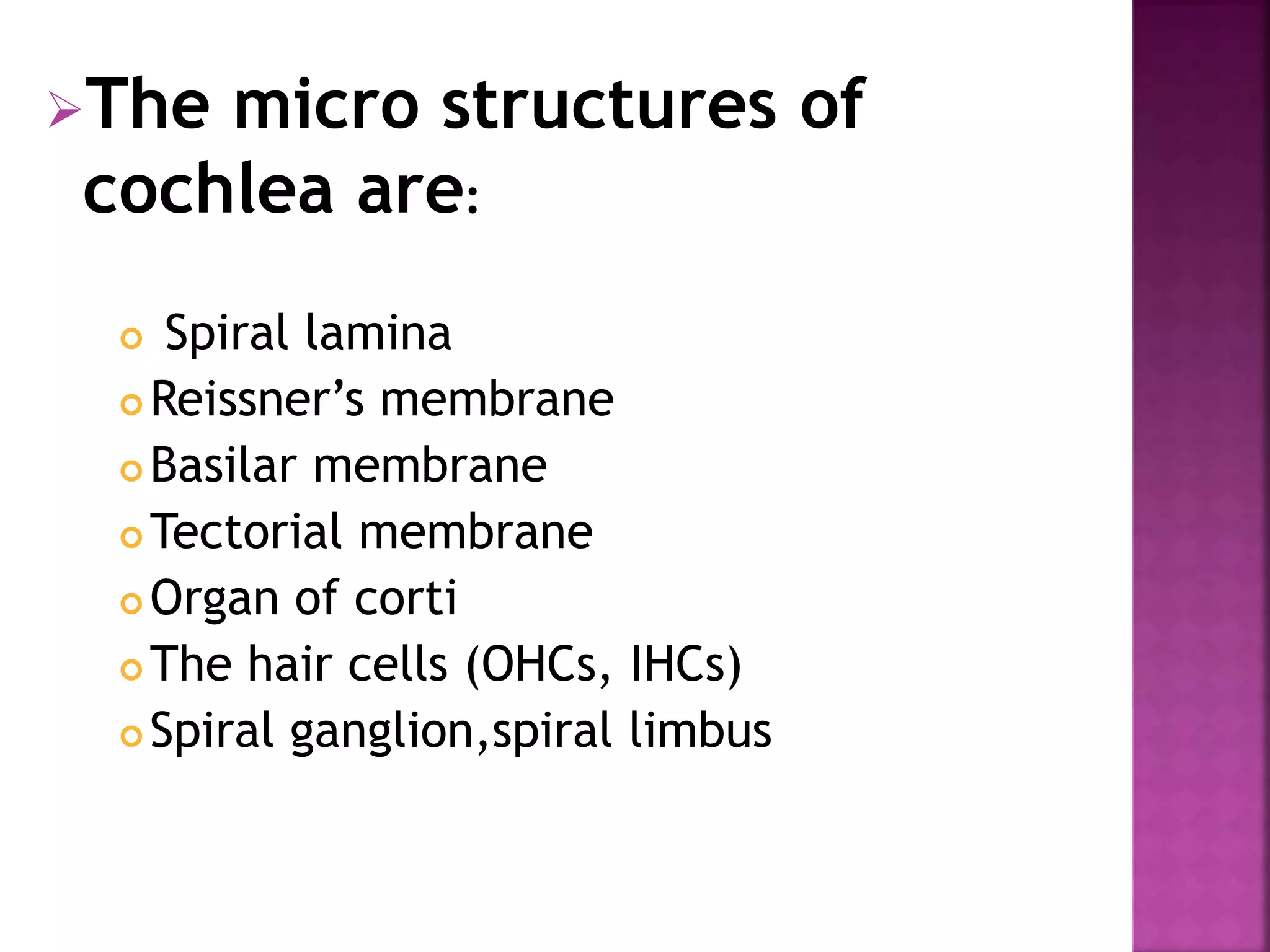 Micro anatomy of cochlea humans and animals | PPTX