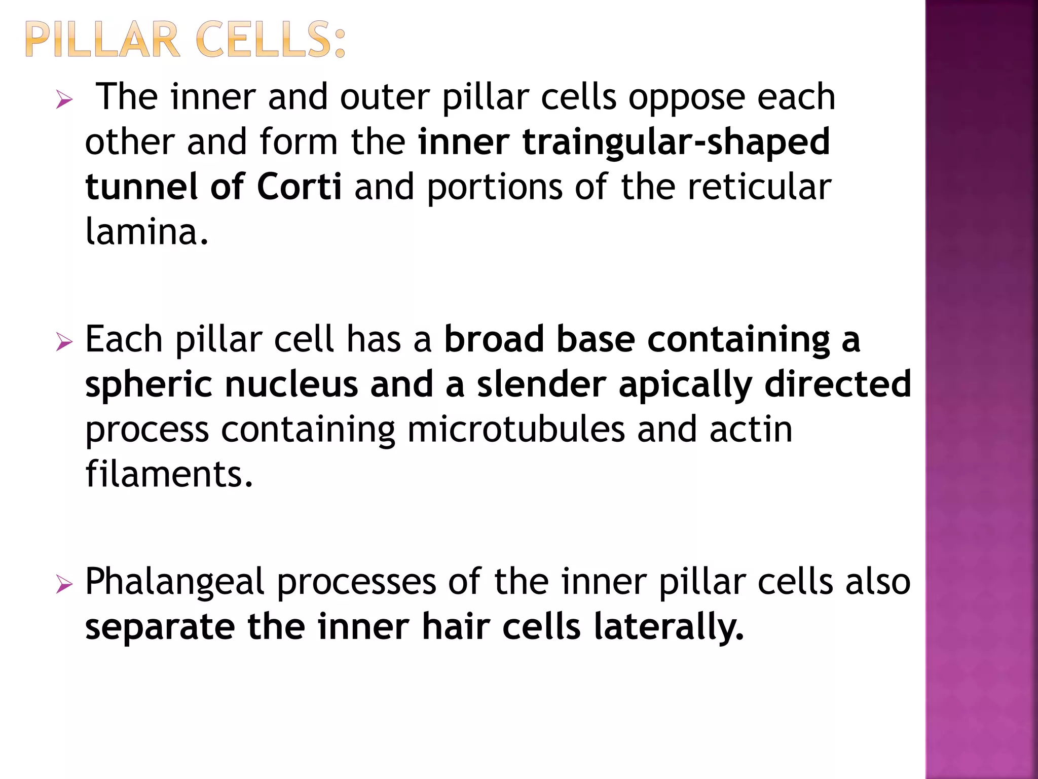Micro anatomy of cochlea humans and animals | PPTX