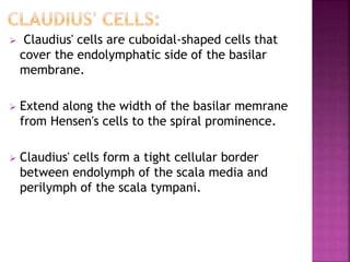 Micro anatomy of cochlea humans and animals | PPTX