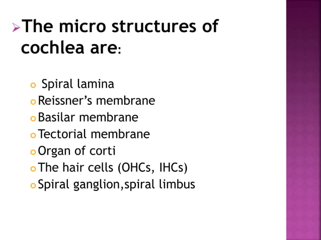 Micro anatomy of cochlea humans and animals | PPTX | Ear, Nose and ...