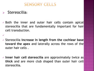 Micro anatomy of cochlea humans and animals | PPTX
