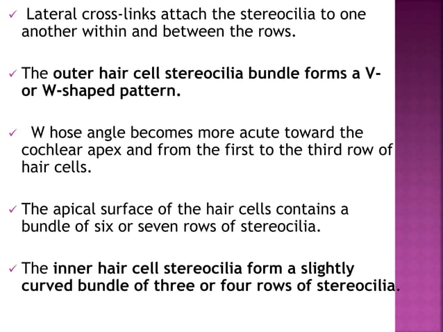 Micro anatomy of cochlea humans and animals | PPTX | Ear, Nose and ...