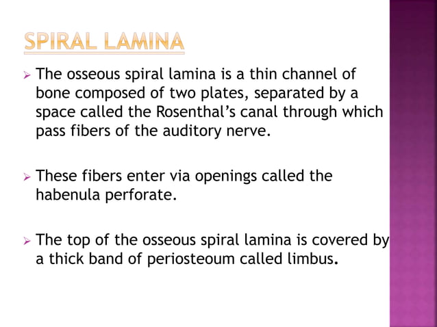 Micro anatomy of cochlea humans and animals | PPTX | Ear, Nose and ...