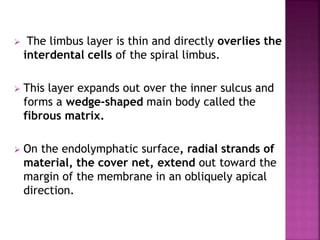 Micro anatomy of cochlea humans and animals | PPTX