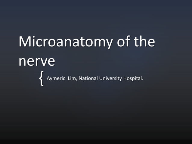 Microanatomy of the nerve | PPTX | Biological Sciences | Science