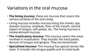 Microanatomy of the Oral Mucous Membrane.pptx