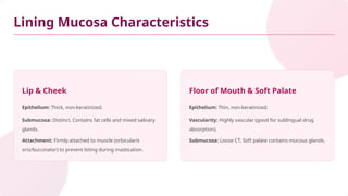 Microanatomy of the Oral Mucous Membrane.pptx