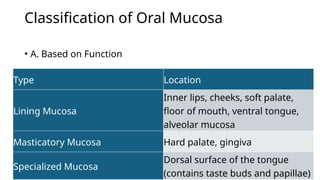 Microanatomy of the Oral Mucous Membrane.pptx