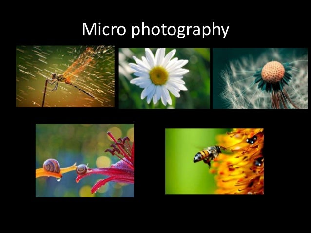 Micro and macro photography