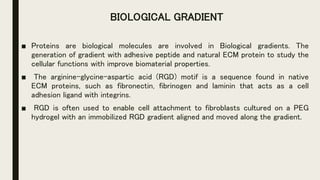 Micro and nanoengineering approaches to developing gradient ...
