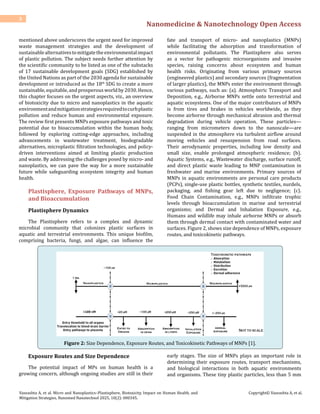 Micro and Nanoplastics–Plastisphere, Biotoxicity, Impact on Human Health, and Mitigation ...