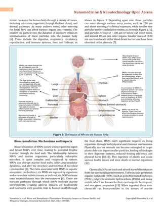 Micro and Nanoplastics–Plastisphere, Biotoxicity, Impact on Human Health, and Mitigation ...