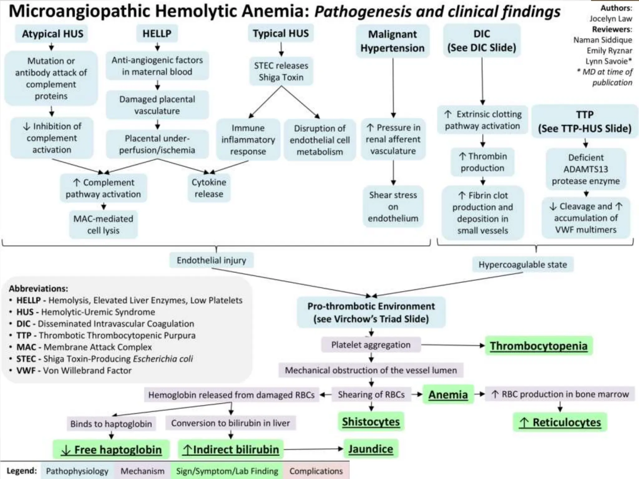 MICROANGIOPATHIC HEMOLYTIC ANEMIA - MAHA.pptx