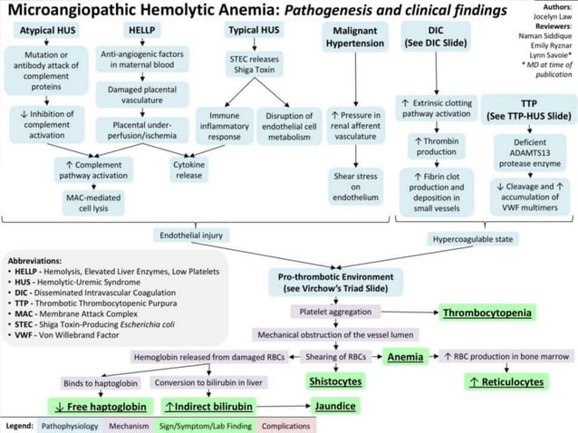 MICROANGIOPATHIC HEMOLYTIC ANEMIA - MAHA.pptx