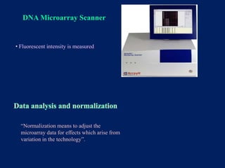 Microarray | PPTX