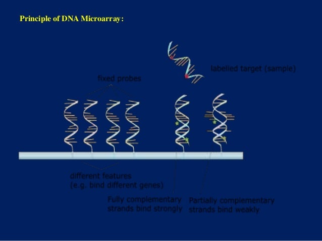 Microarray
