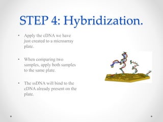 DNA Microarray introdution and application | PPT
