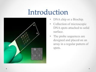 DNA Microarray introdution and application | PPT