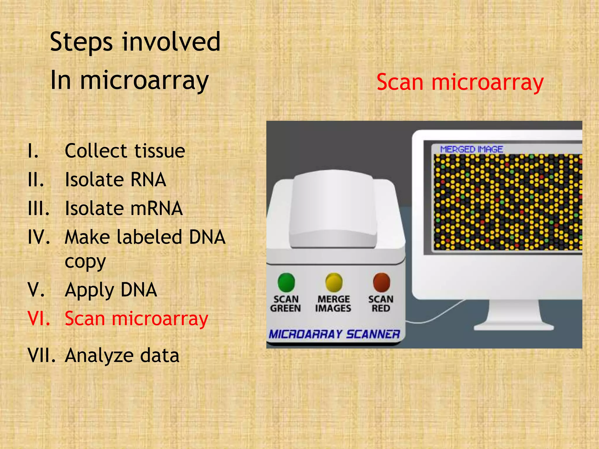 Microarray | PPTX