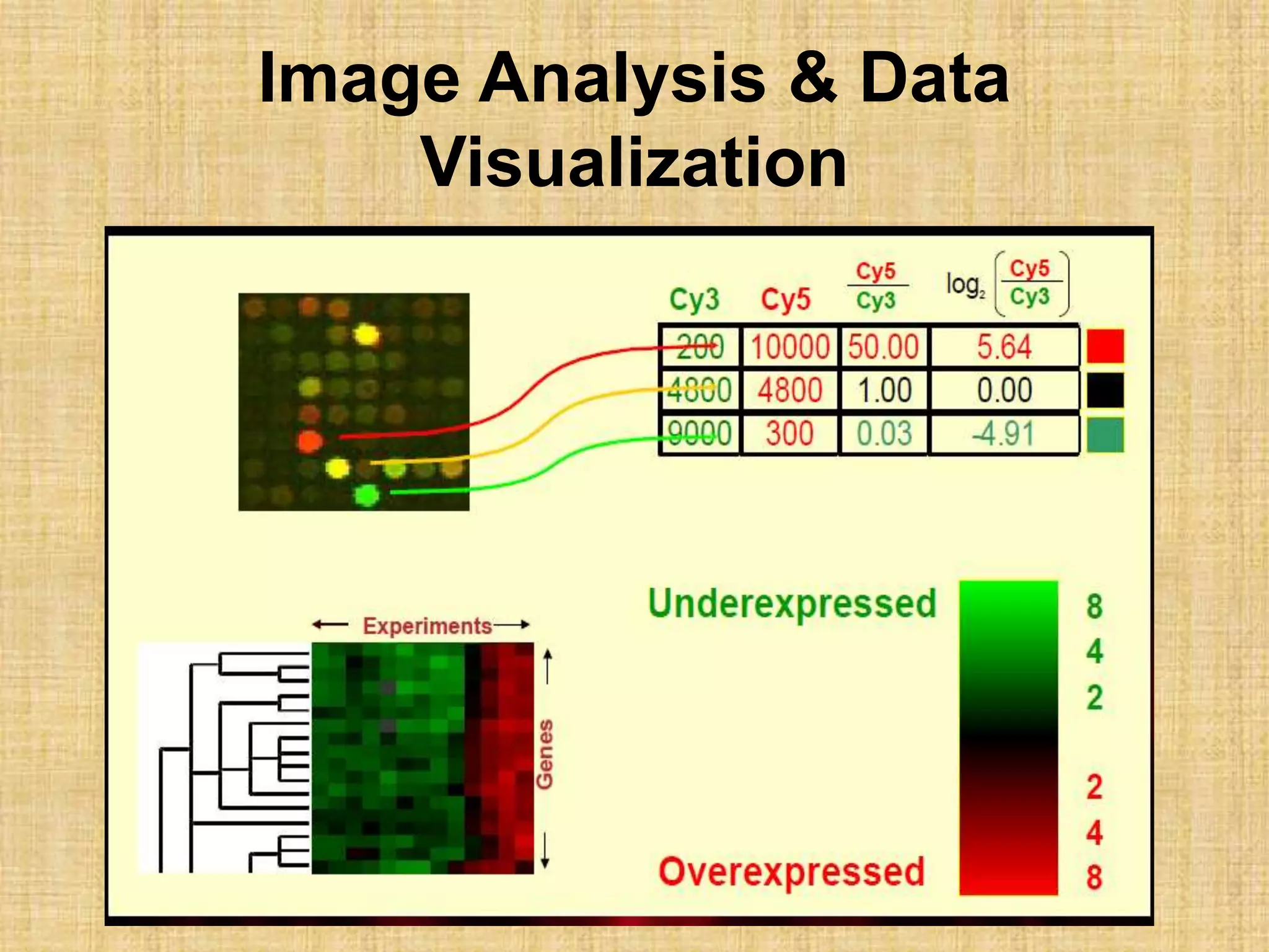 Microarray | PPTX