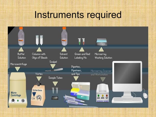 Microarray | PPTX