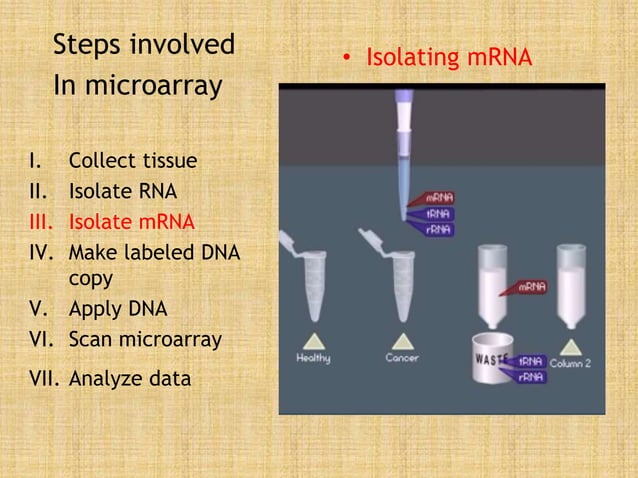 Microarray | PPTX