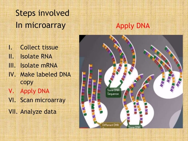 Microarray | PPTX