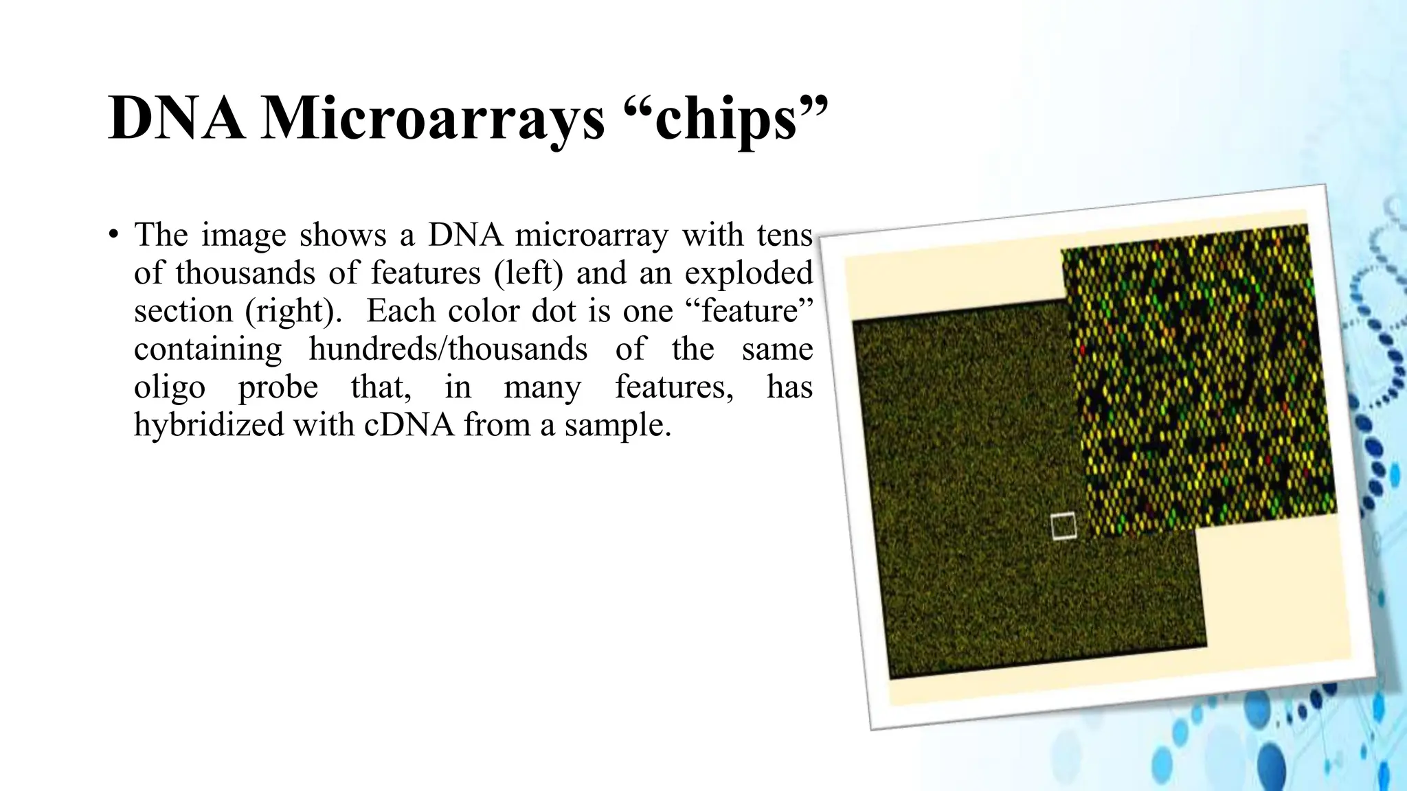 DNA MICROARRAY TECHNOLOGY FOR PRINCIPLE OF DRUG DISCOVERY | PPTX