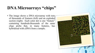 DNA MICROARRAY TECHNOLOGY FOR PRINCIPLE OF DRUG DISCOVERY | PPTX
