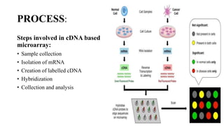 DNA MICROARRAY TECHNOLOGY FOR PRINCIPLE OF DRUG DISCOVERY | PPTX
