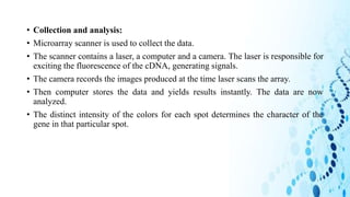 DNA MICROARRAY TECHNOLOGY FOR PRINCIPLE OF DRUG DISCOVERY | PPTX