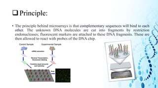 DNA MICROARRAY TECHNOLOGY FOR PRINCIPLE OF DRUG DISCOVERY | PPTX