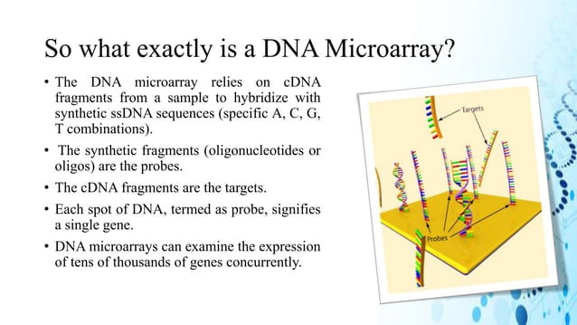 DNA MICROARRAY TECHNOLOGY FOR PRINCIPLE OF DRUG DISCOVERY | PPTX